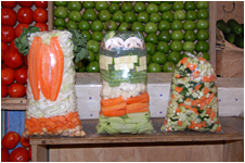 Mexico Journal 2008 - Polly Hope