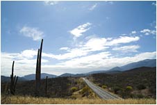 Mexico Journal 2008 - Polly Hope